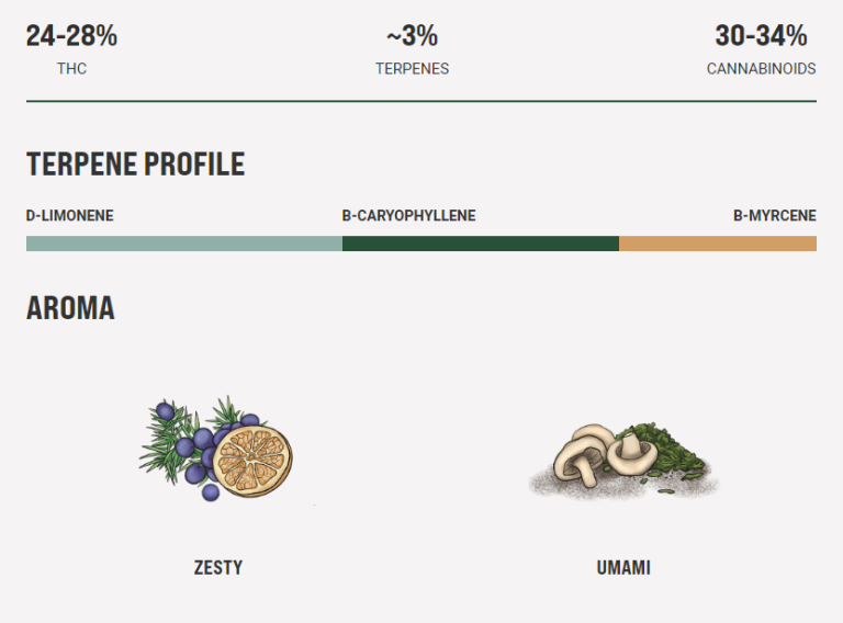 Purple God Craft - 3.5g - Rock Bay Cannabis